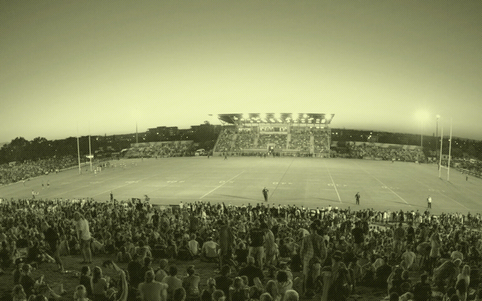 Sunshine Coast Stadium - The Various Artists